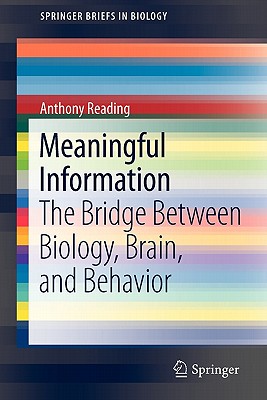 Meaningful Information: The Bridg
