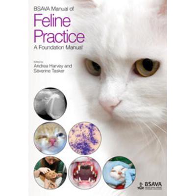 Bsava Manual Of Feline Practice - A Foundati...