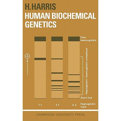 Human Biochemical Genetics