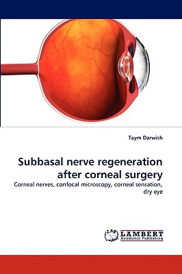 Subbasal Nerve Regeneration Aft