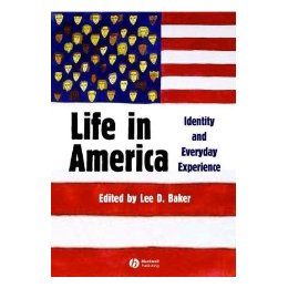Life In America: Identity And Everyday