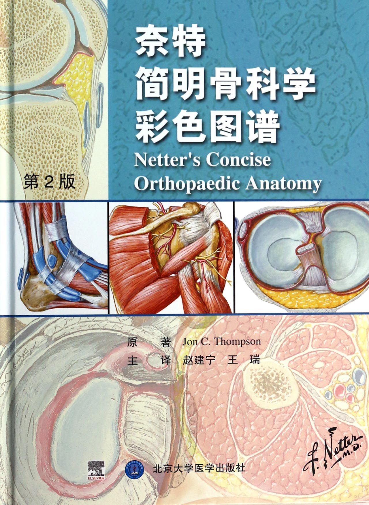 奈特简明骨科学彩色图谱(第2版)(精)