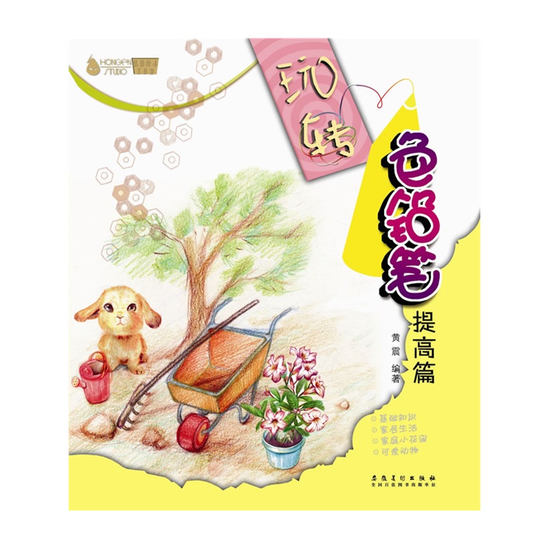 玩转色铅笔 提高篇 安徽美术 9787539844817 黄震