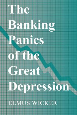 The Banking Panics of the Great