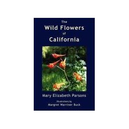 The Wild Flowers of California