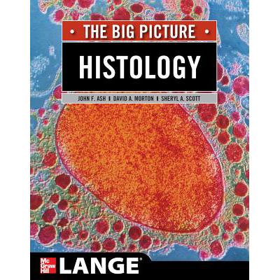 Histology: The Big Picture