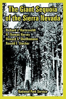 The Giant Sequoia of the Sierr