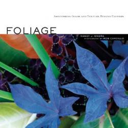 Foliage: Astonishing Color and Textur