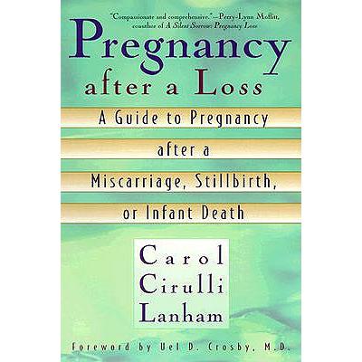 Pregnancy After a Loss: A Guide to Pregnancy...