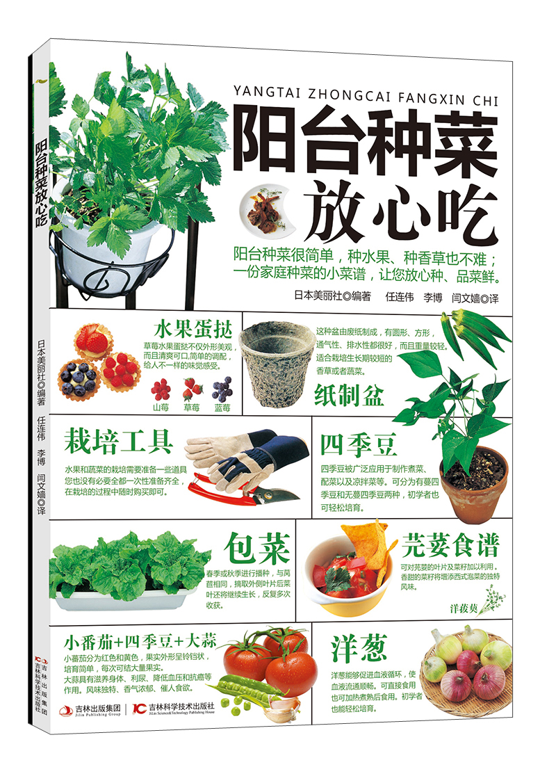 阳台种菜放心吃