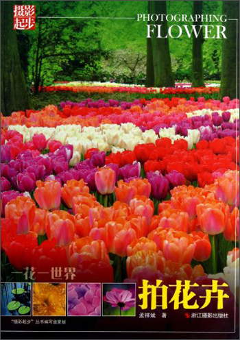 摄影起步·一花一世界：拍花卉