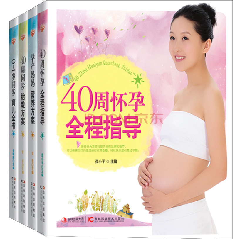 怀孕育儿系类丛书（套装共4册）