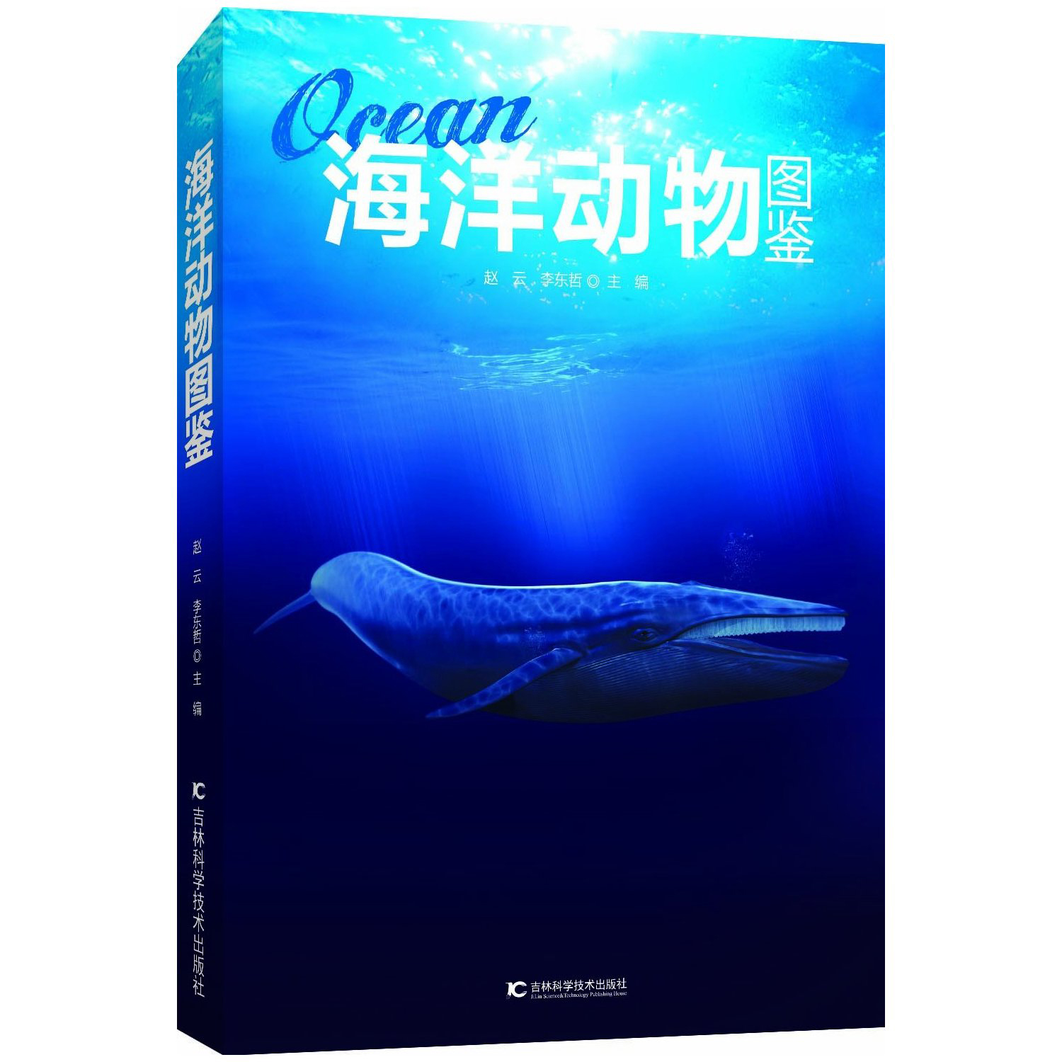 海洋动物图鉴