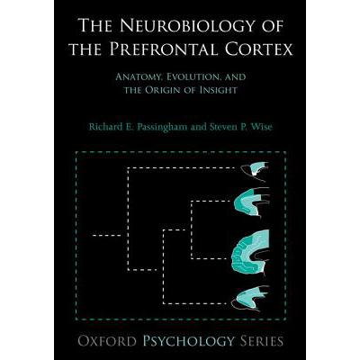 The Neurobiology of the Prefrontal Cortex: A...