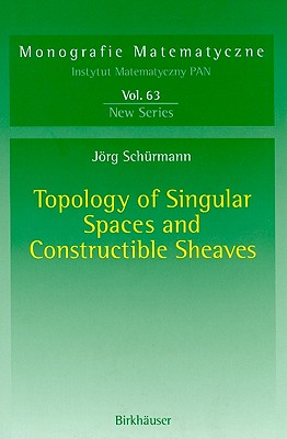 Topology of Singular Spaces and