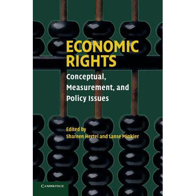 Economic Rights: Conceptual, Measurement, and Policy Issues