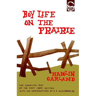 Boy Life on the Prairie