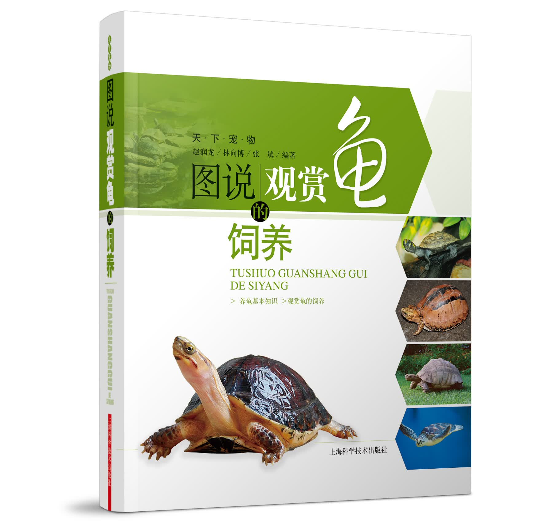 天下宠物：图说观赏龟的饲养