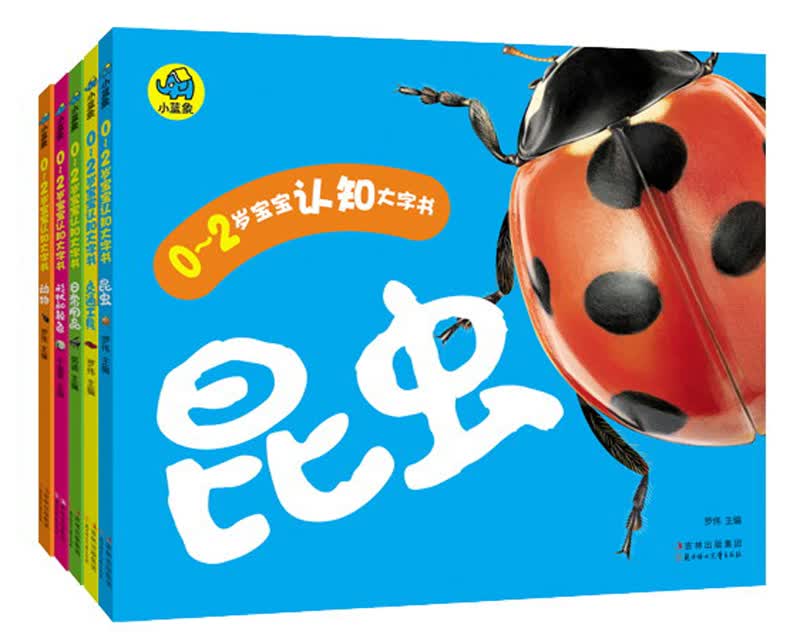 0～2岁宝宝认知大字书（套装共6册）
