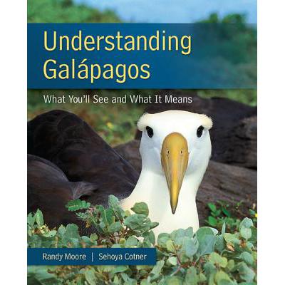 Understanding Galapagos