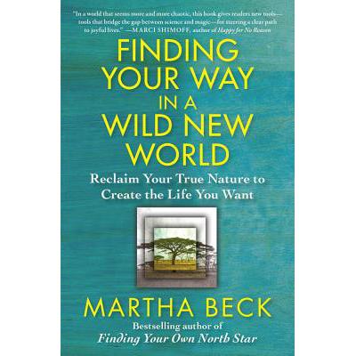 Finding Your Way in a Wild New World: Reclai...