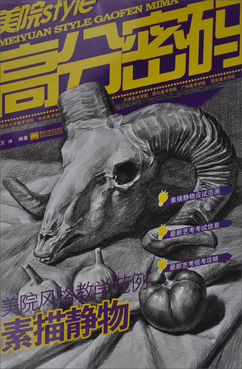 美院STYLE·高分密码·美院风格教学范例：素描静物
