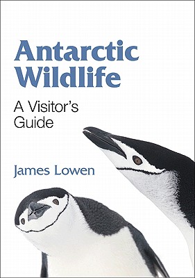 Antarctic Wildlife: A Visitor's