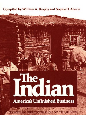 The Indian: America's Unfinished