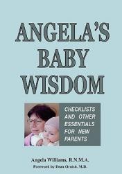 Angela's Baby Wisdom: Checklists and