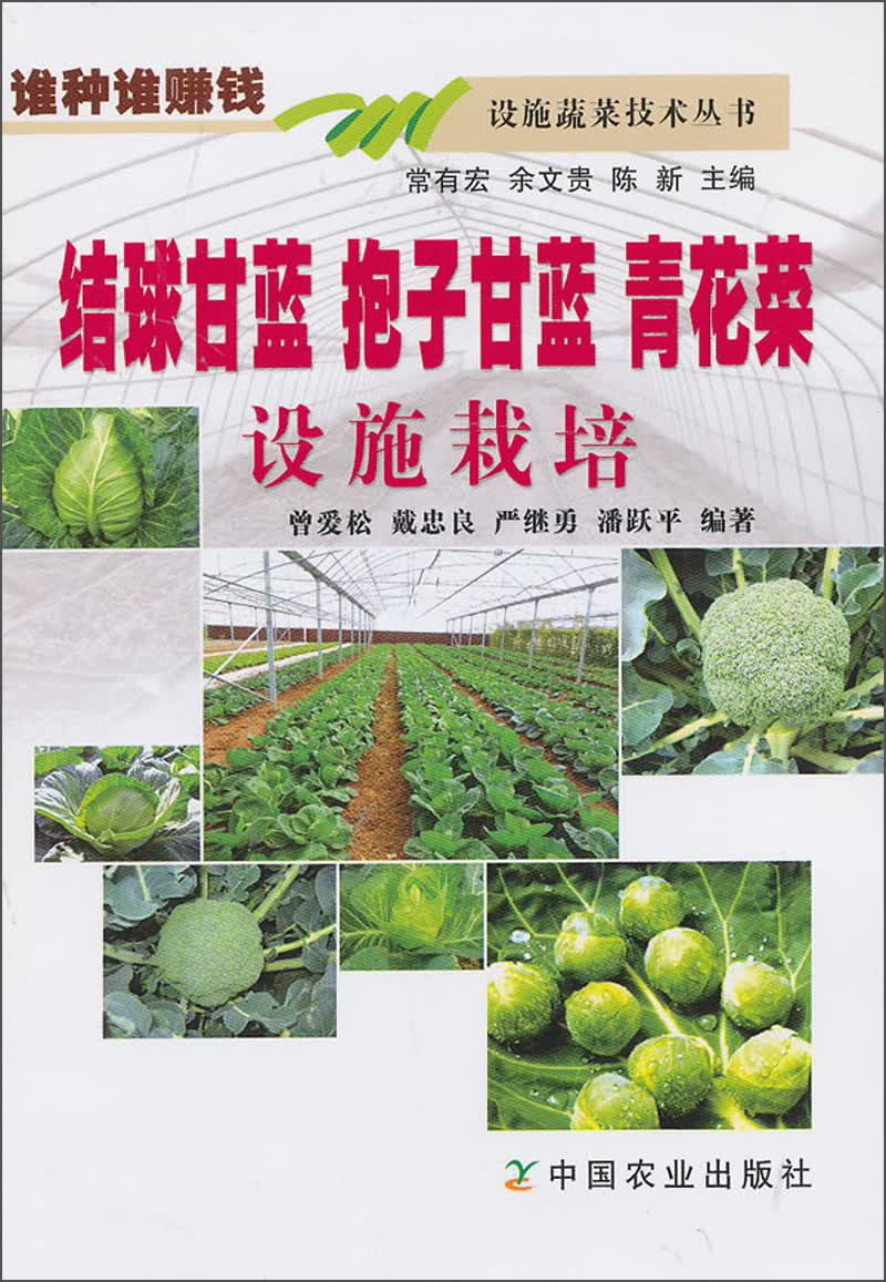 结球甘蓝 抱子甘蓝 青花菜设施栽培