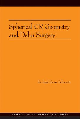 Spherical CR Geometry and Dehn