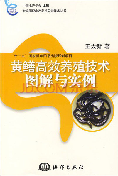 黄鳝高效养殖技术