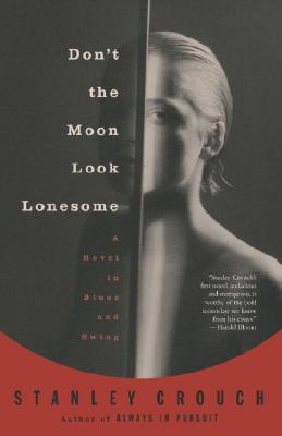 Don't the Moon Look Lonesome: A Novel in