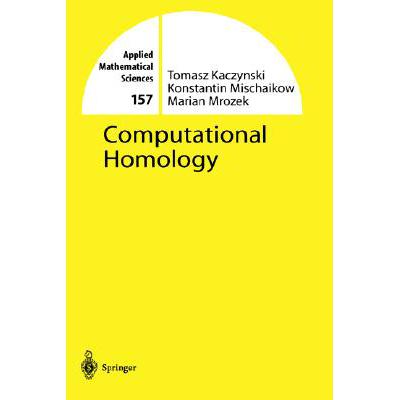 Computational Homology