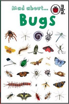 【 精装】让人着迷的昆虫 进口原版英文儿童绘本儿童科普小百科/Mad About Bugs