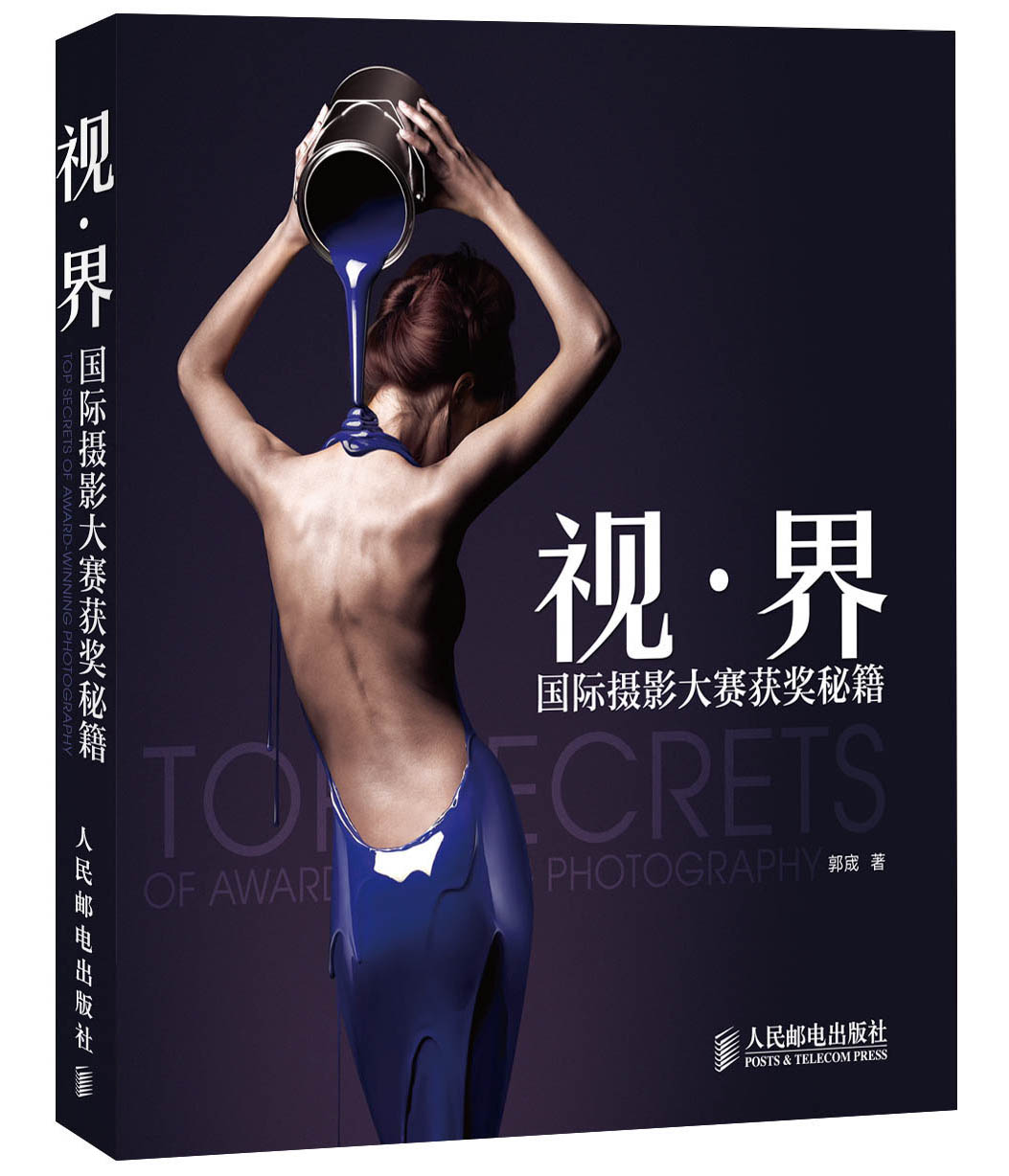 视·界：国际摄影大赛获奖秘籍（摄影客出品）