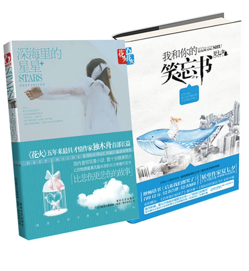 夏七夕/独木舟最伤感系列套装（京东套装共2册）