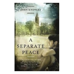 英文原版 A Separate Peace 独自和解 进口原版 新老封面随机发货