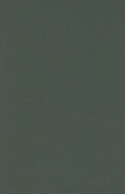 Fathers of Conscience: Mixed-Rac