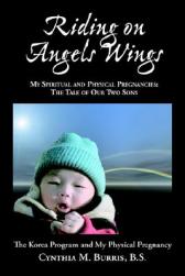 Riding on Angels Wings - My Spiritual