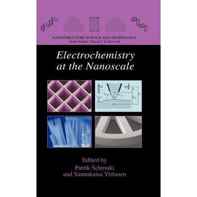 Electrochemistry at the Nanoscale