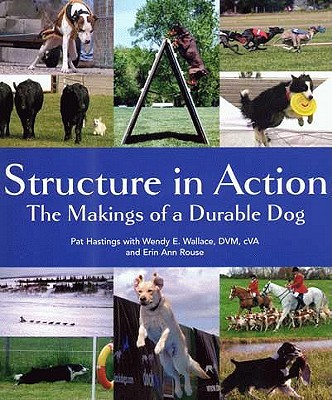 Structure in Action: The Makings of a