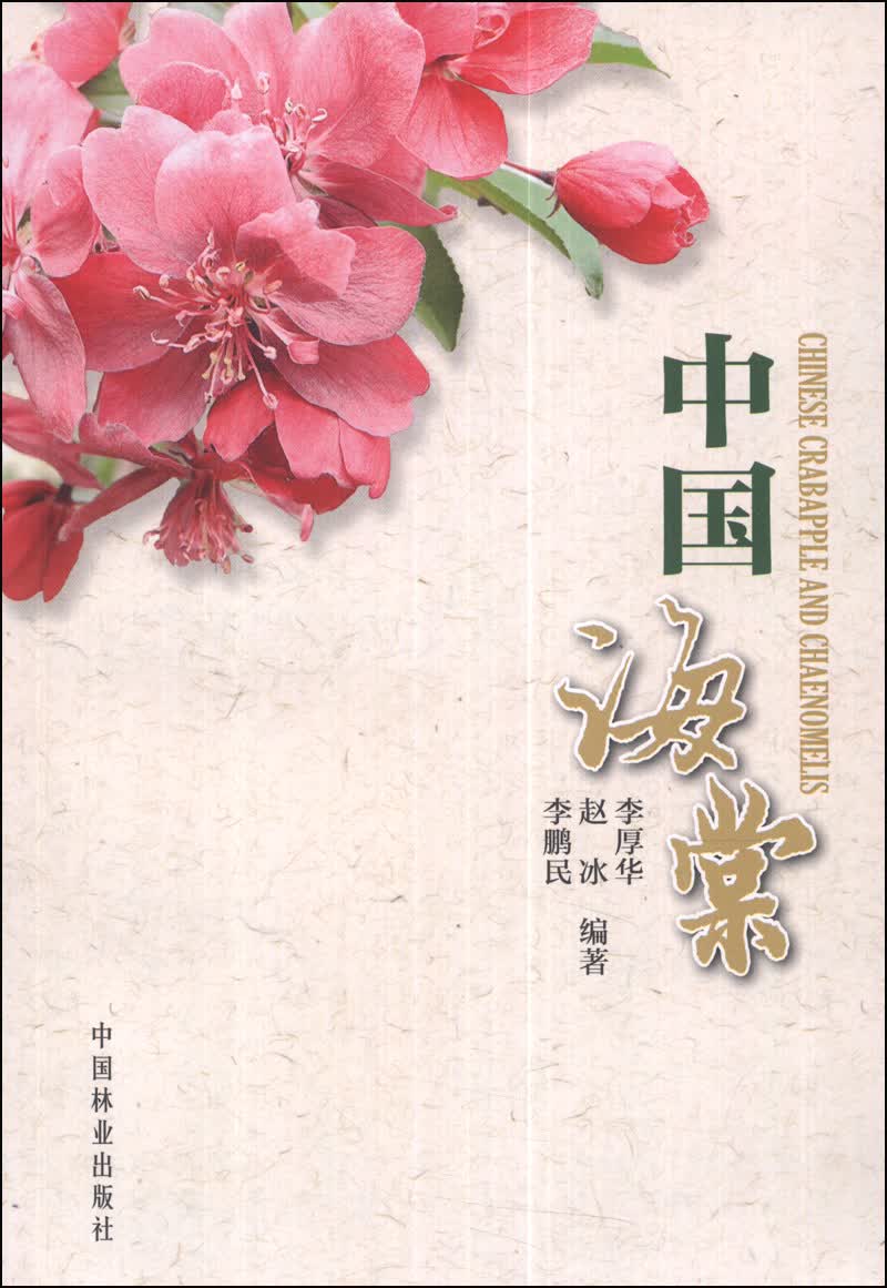 中国海棠
