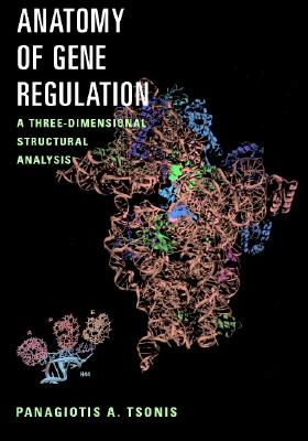 Anatomy of Gene Regulation: A