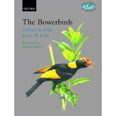 The Bowerbirds: Ptilonorhynchidae