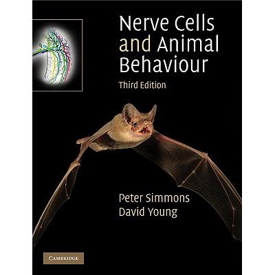 CBG Nerve Cells and Animal Behaviour