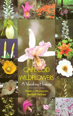 Cape Cod Wildflowers: A Vanishin