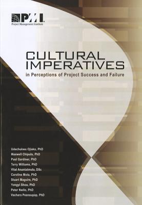 The Contextualization of Project