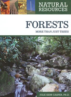 Forests: More Than Just Trees