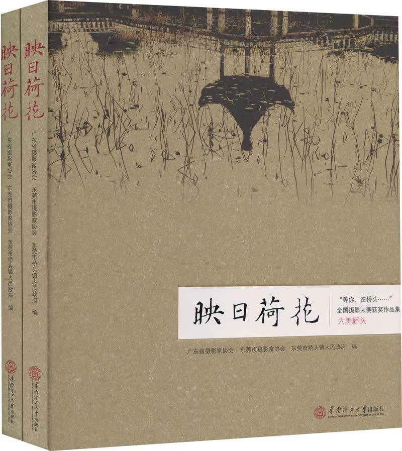 全国摄影大展获奖作品集·映日荷花：“等你，在桥头……”（套装共2册）